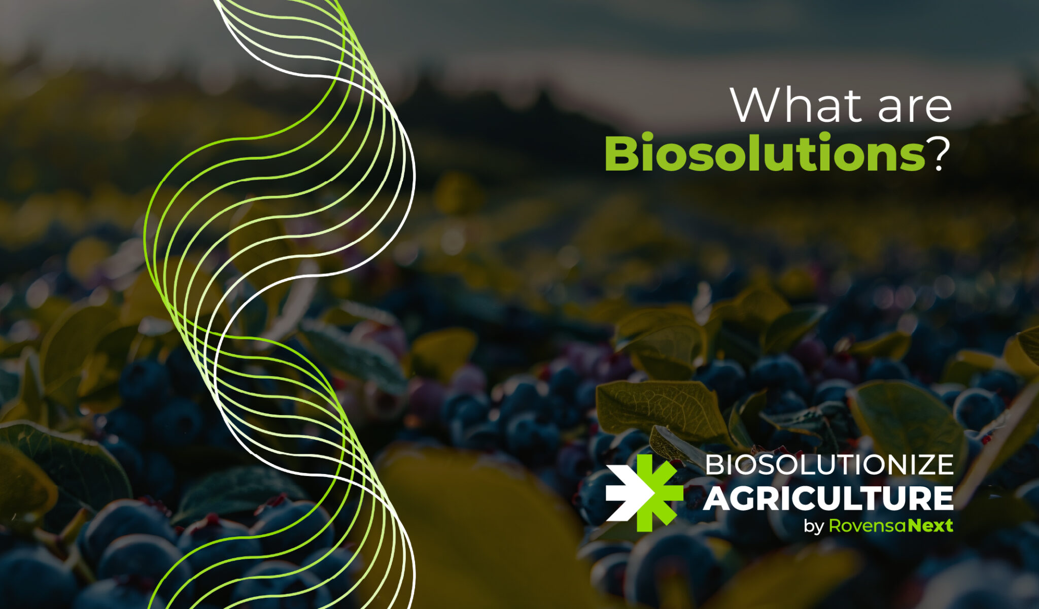 Rovensa Next Australia & New Zealand | A pioneer in biosolutions for ...